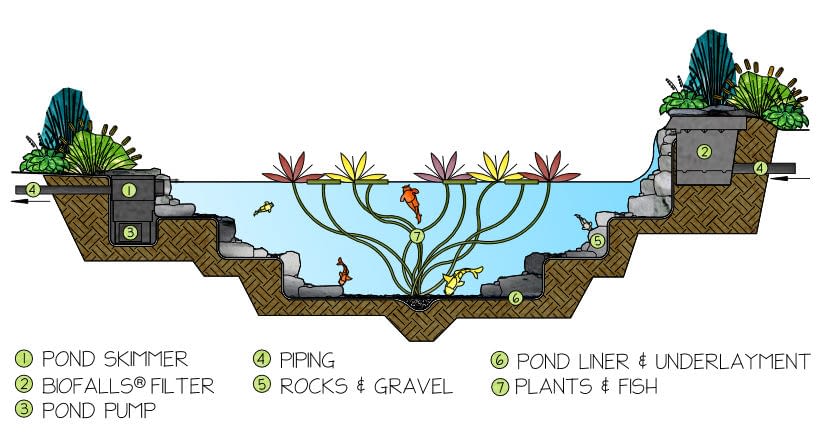 Ecosystem Ponds | Long Island | Hamptons - Alter Ecosystems Ponds ...