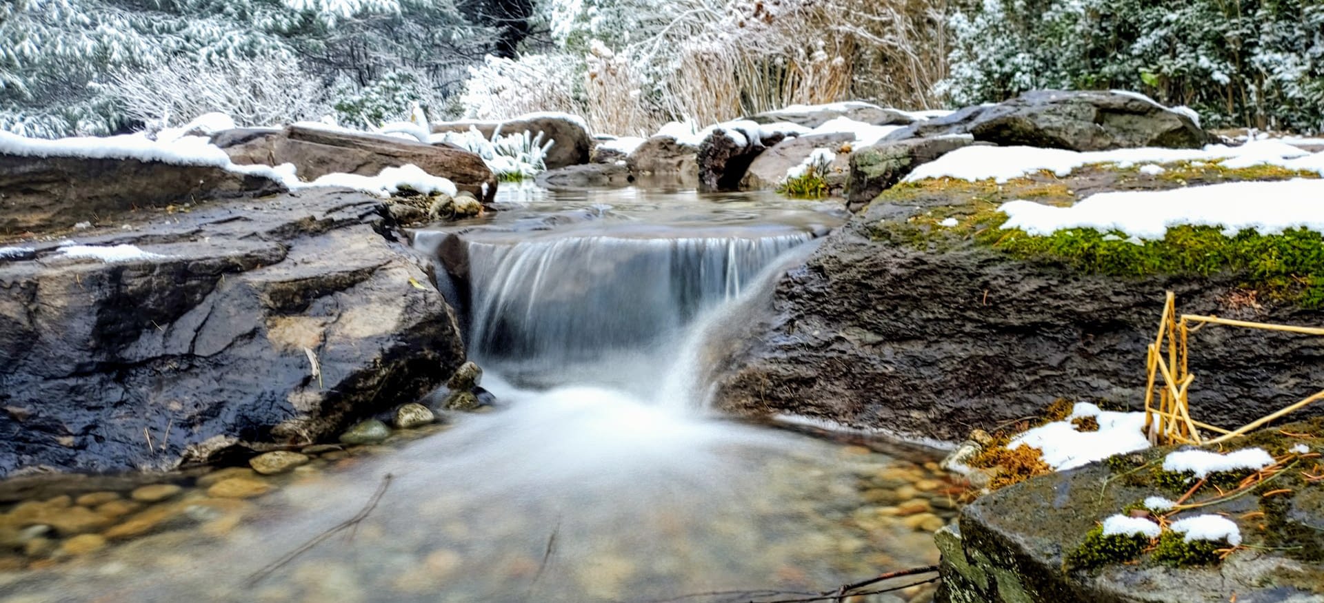 Winter Pond Maintenance | Long Island | Hamptons - Alter Ecosystems ...